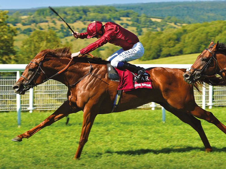 Tweenhills Stallion Lightning Spear