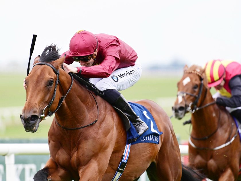 Tweenhills More Stakes success for Tweenhills-bred Buckaroo