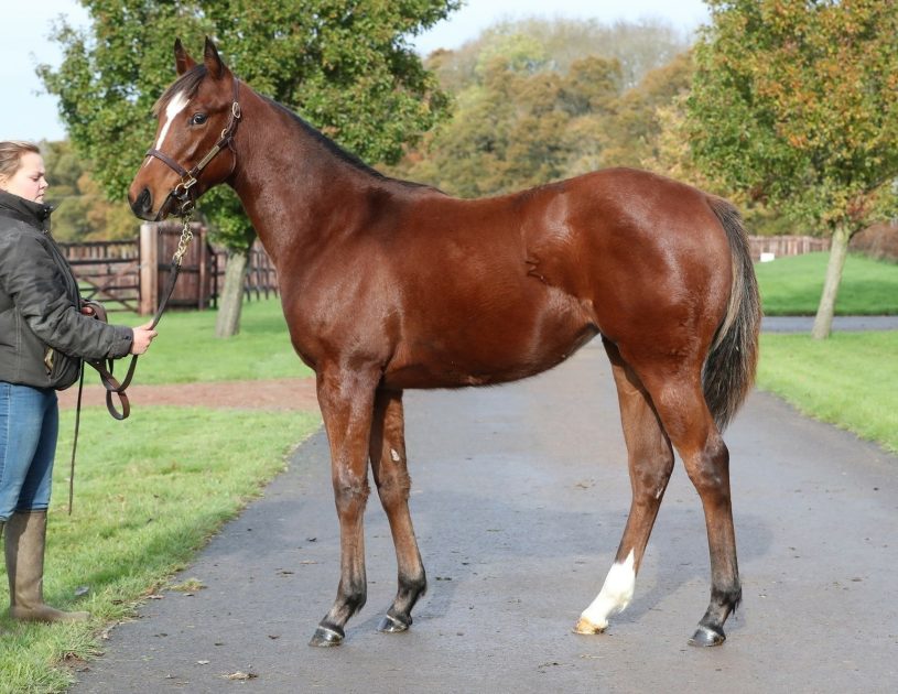 Tweenhills Tweenhills-bred 2yo fillies win, inc. Listed race