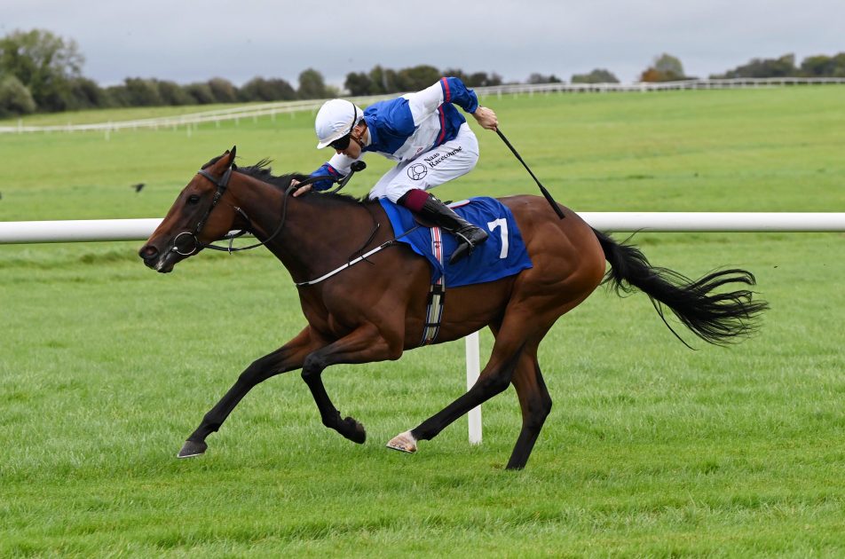 Tweenhills Je Zous another Group winner for Zoustar