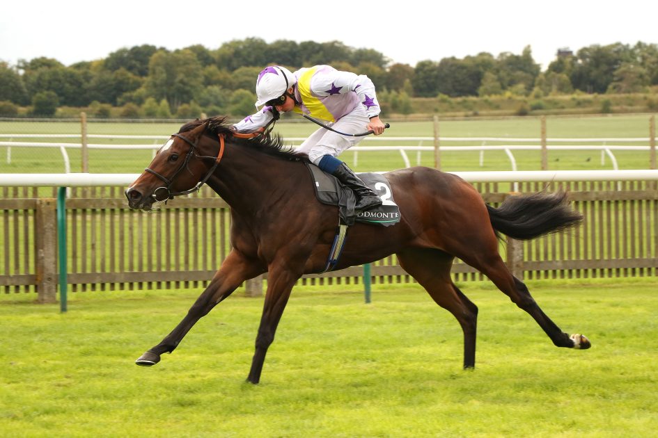 Tweenhills Zoustar’s Dangerous Dozen for 2023