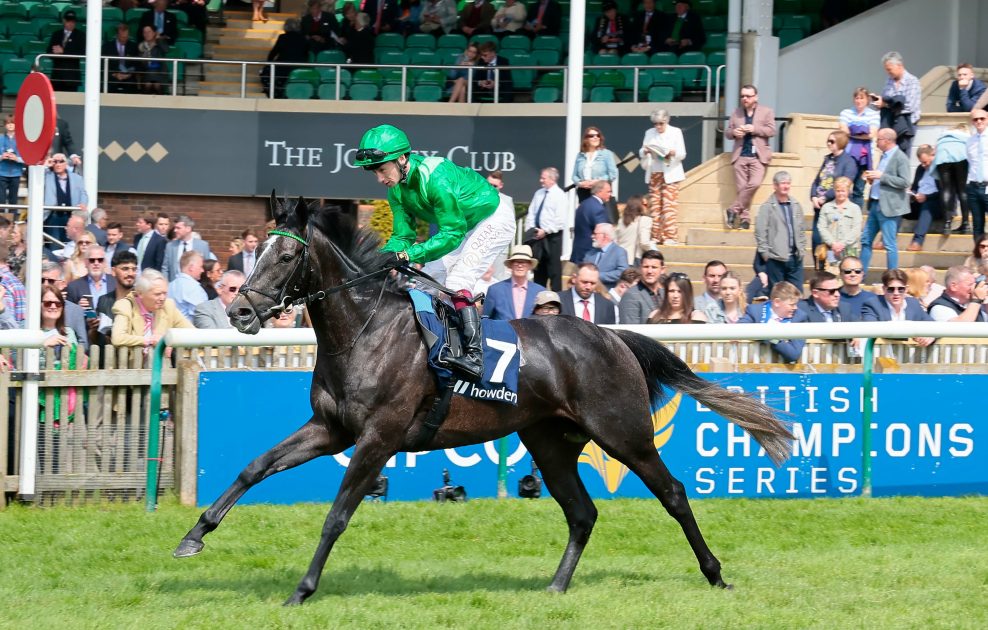 Tweenhills Howden homebred has hopes high