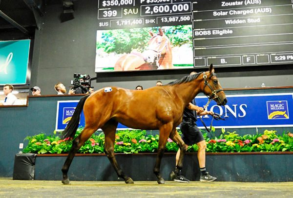 Tweenhills Zoustar shines at the Magic Millions